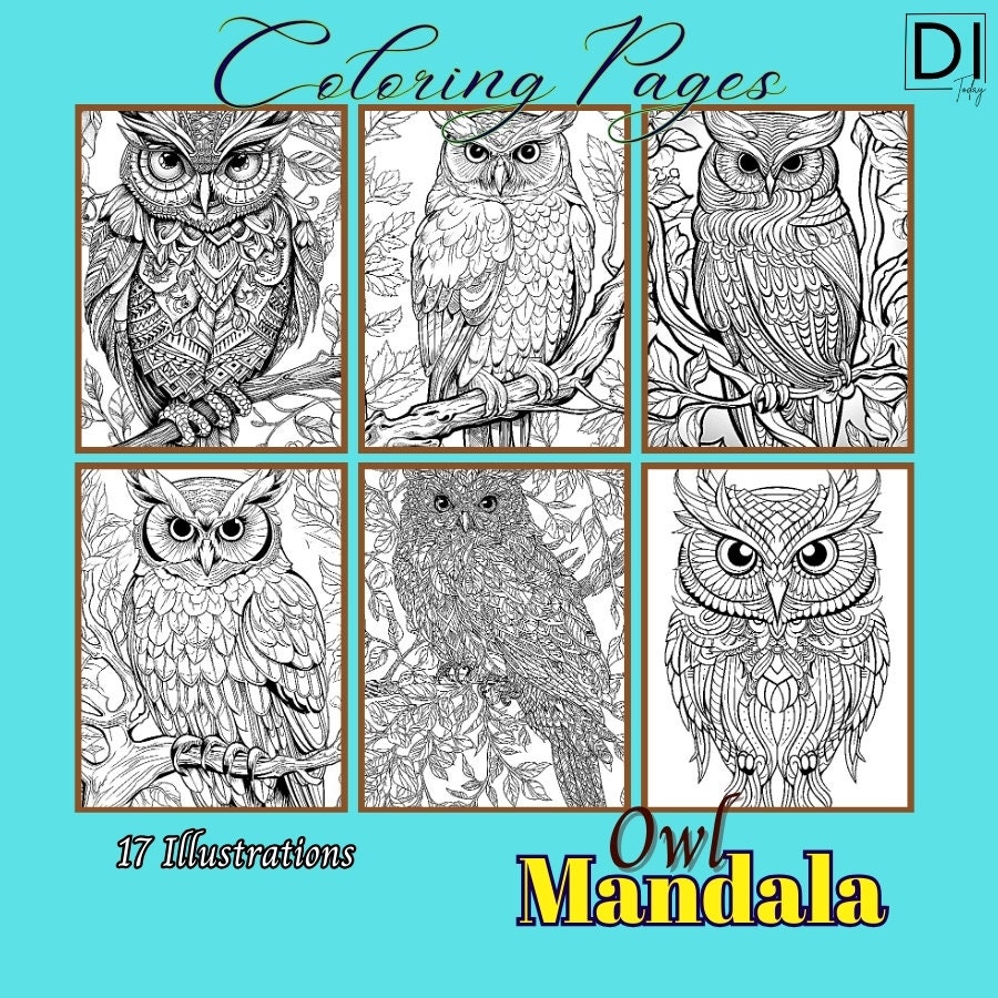 Owl Mandala Digital Coloring Book for Adults Teens , Celtic Fantasy ...
