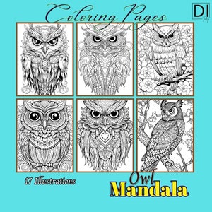 Owl Mandala Digital Coloring Book for Adults Teens , Celtic Fantasy ...
