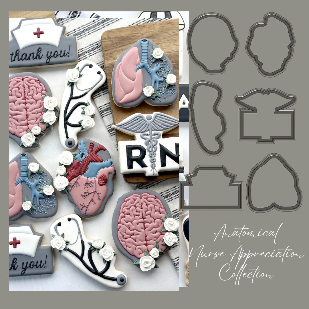 Anatomical Nurse Appreciation Collection - STL Files - Etsy