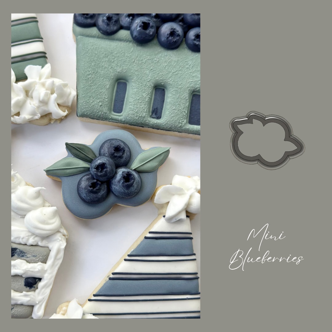 MINI Blueberries - Etsy