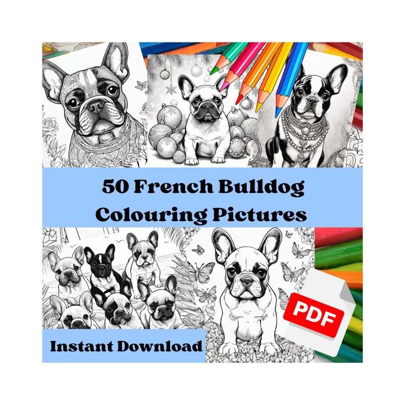 50 French Bulldog Colouring Pages - Printable PDF - Etsy
