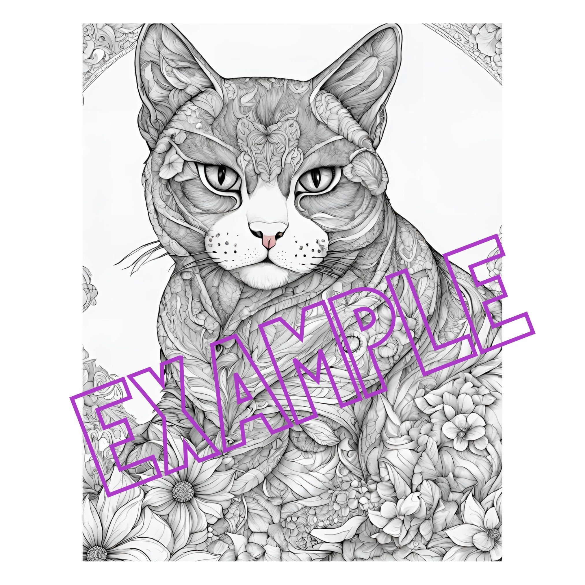 50 Adult Cat Colouring Pages Printable PDF - Etsy