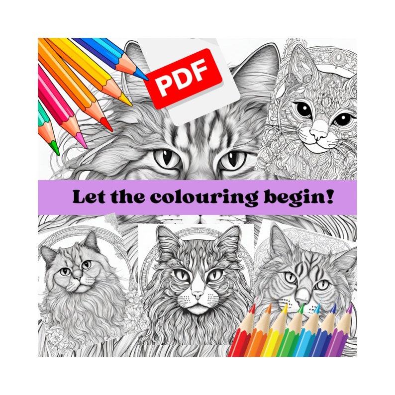 50 Adult Cat Colouring Pages - Printable PDF - Etsy