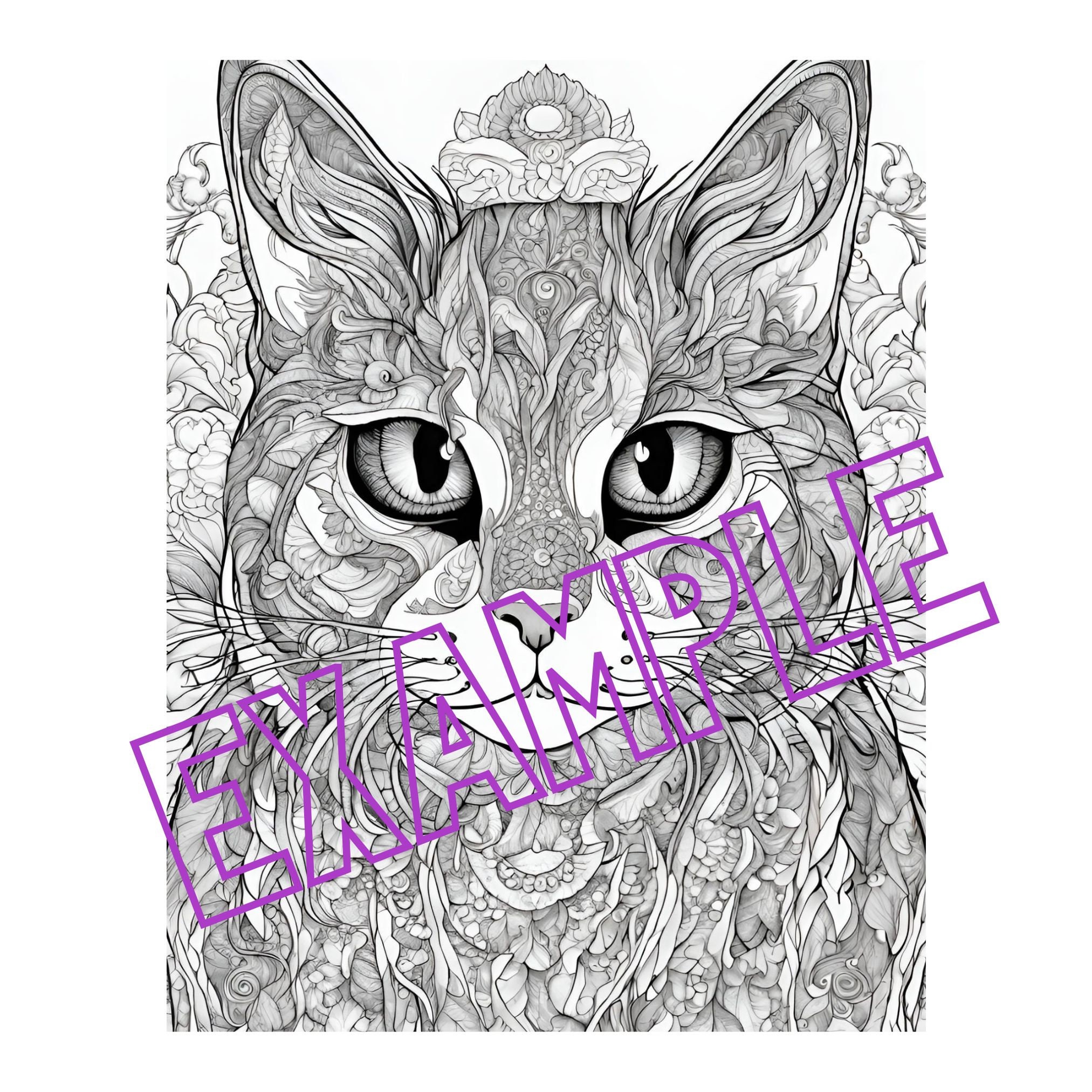 50 Adult Cat Colouring Pages Printable PDF - Etsy