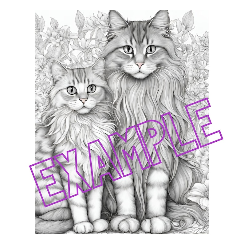 50 Adult Cat Colouring Pages Printable PDF - Etsy