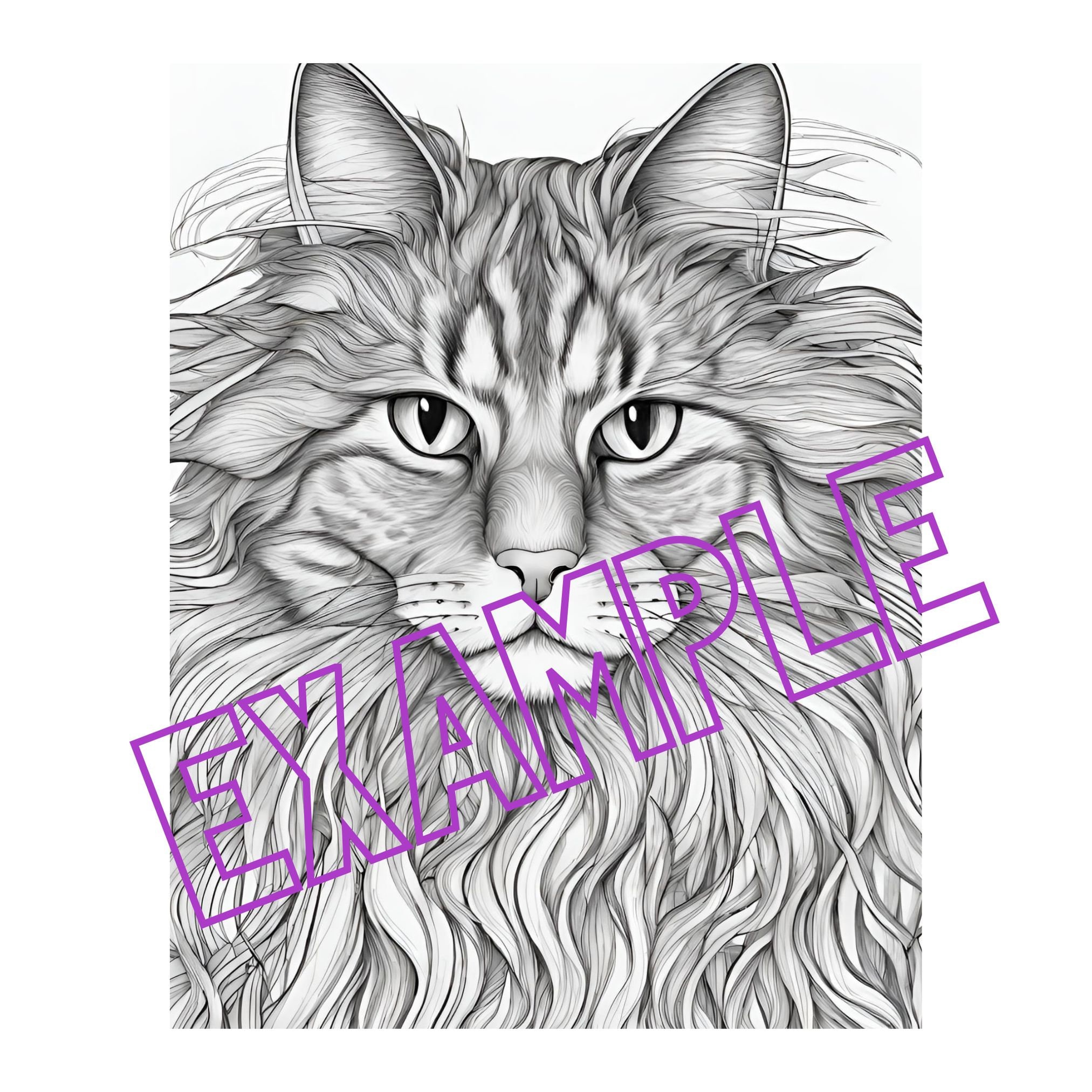 50 Adult Cat Colouring Pages Printable PDF - Etsy