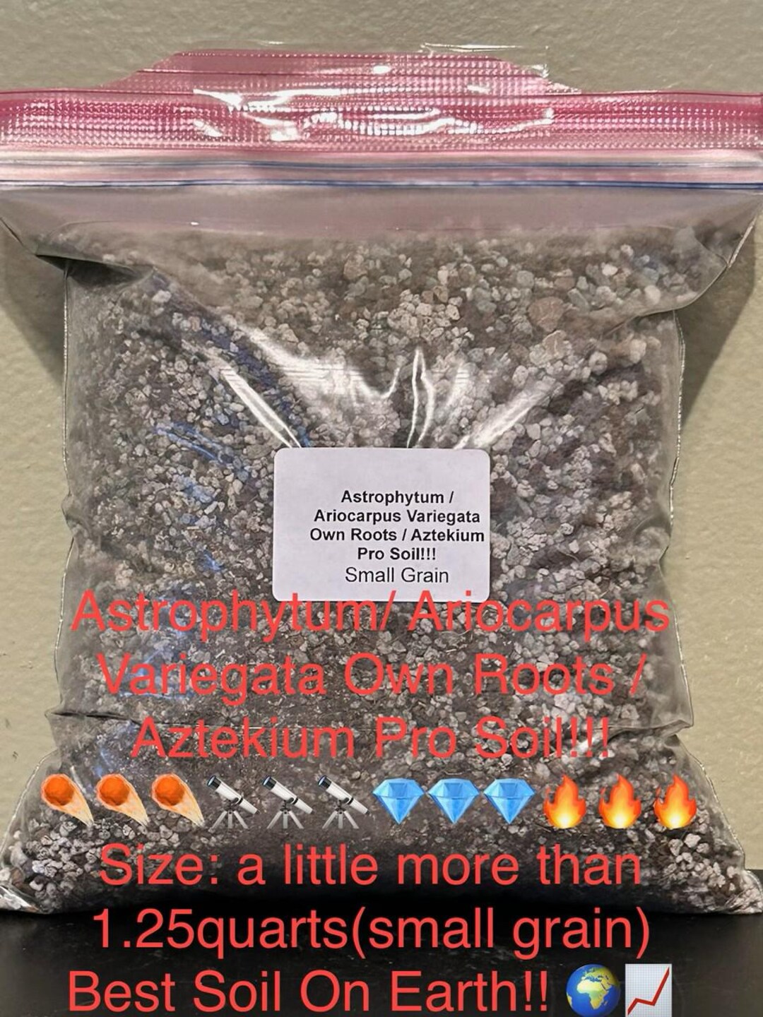 Astrophytum / Ario Variegata Own Roots / Aztekium 1 Quart Small Grain ...