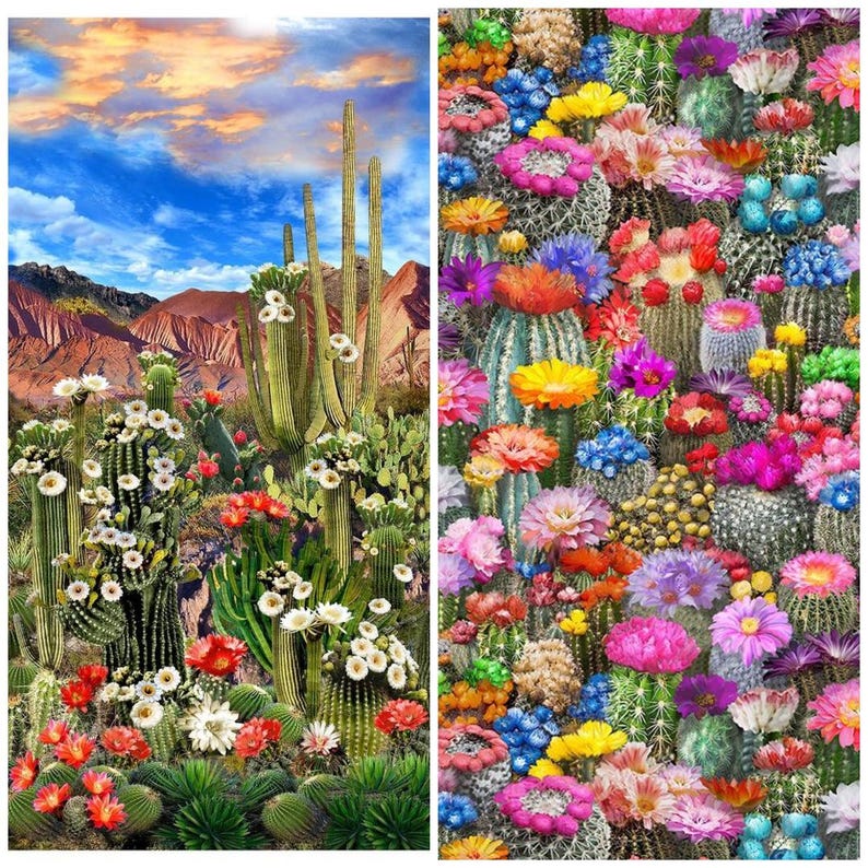 Southwest Sunset Cactus 24” Panel Fabric Scenery Plus Coordinate ...