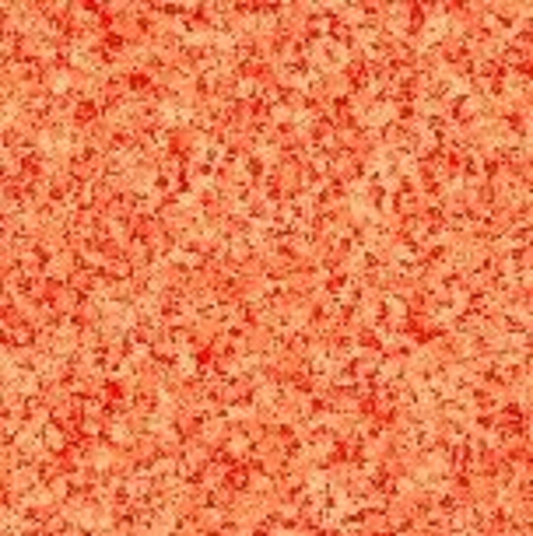 Speckled Texture Fiesta Orange Fabric Quilt Cotton QT 23528-OT - Etsy