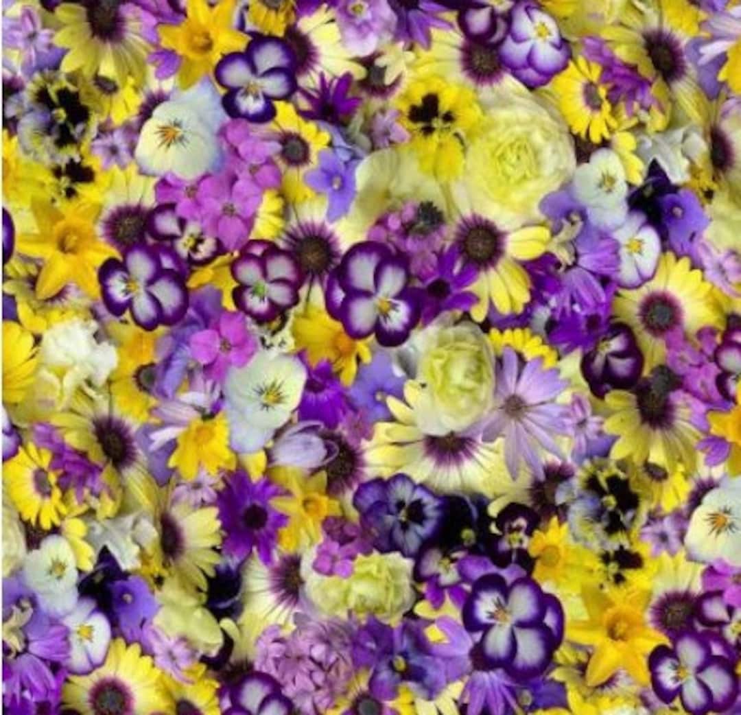 Wideback Fabric Hand Picked Flowers 108 Inch Wide Cotton Quilt Backing ...