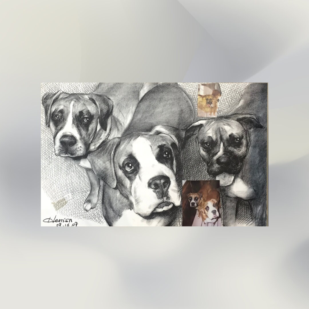 Custom Portraits & Drawings: Animals - Etsy