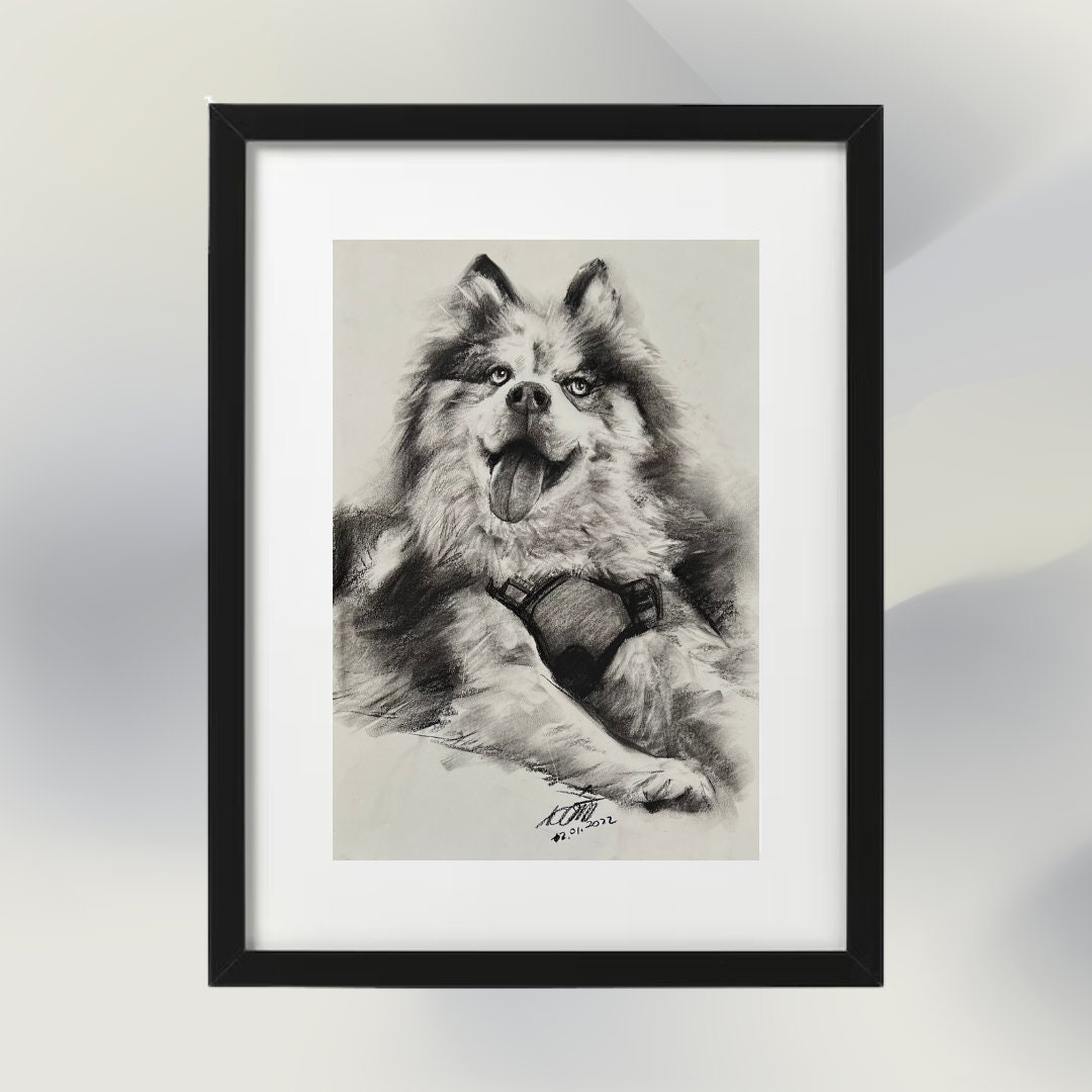 Custom Portraits & Drawings: Animals - Etsy