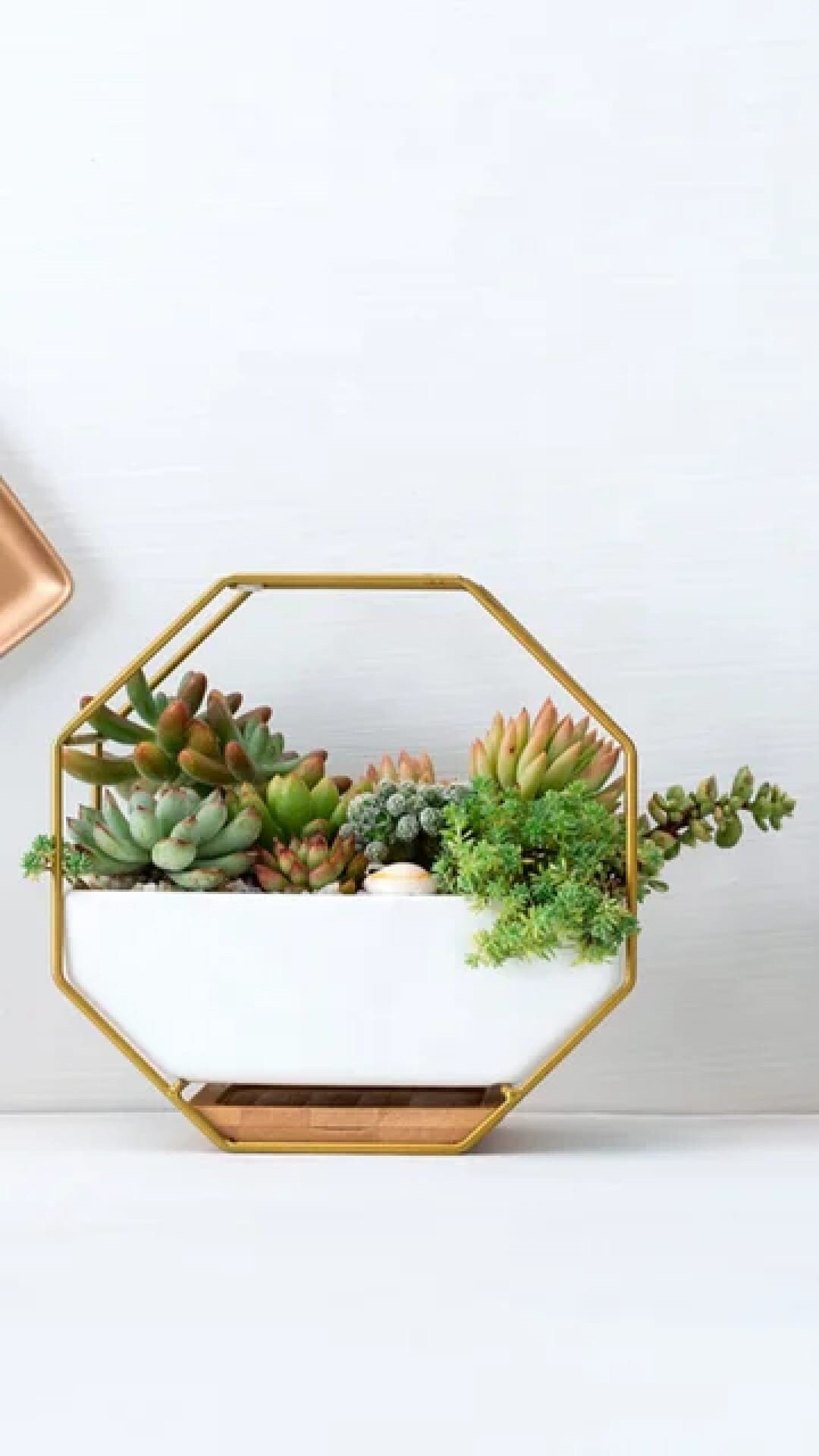 Octagon Planter in Your Choice of Black or Gold - Etsy
