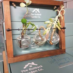 Rustic Wall Hanging Terrarium - Etsy Australia