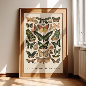 Butterfly Print, Vintage Botanical Illustration, Witchy Moth Poster ...