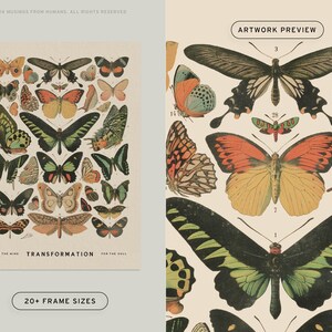 Butterfly Print, Vintage Botanical Illustration, Witchy Moth Poster ...
