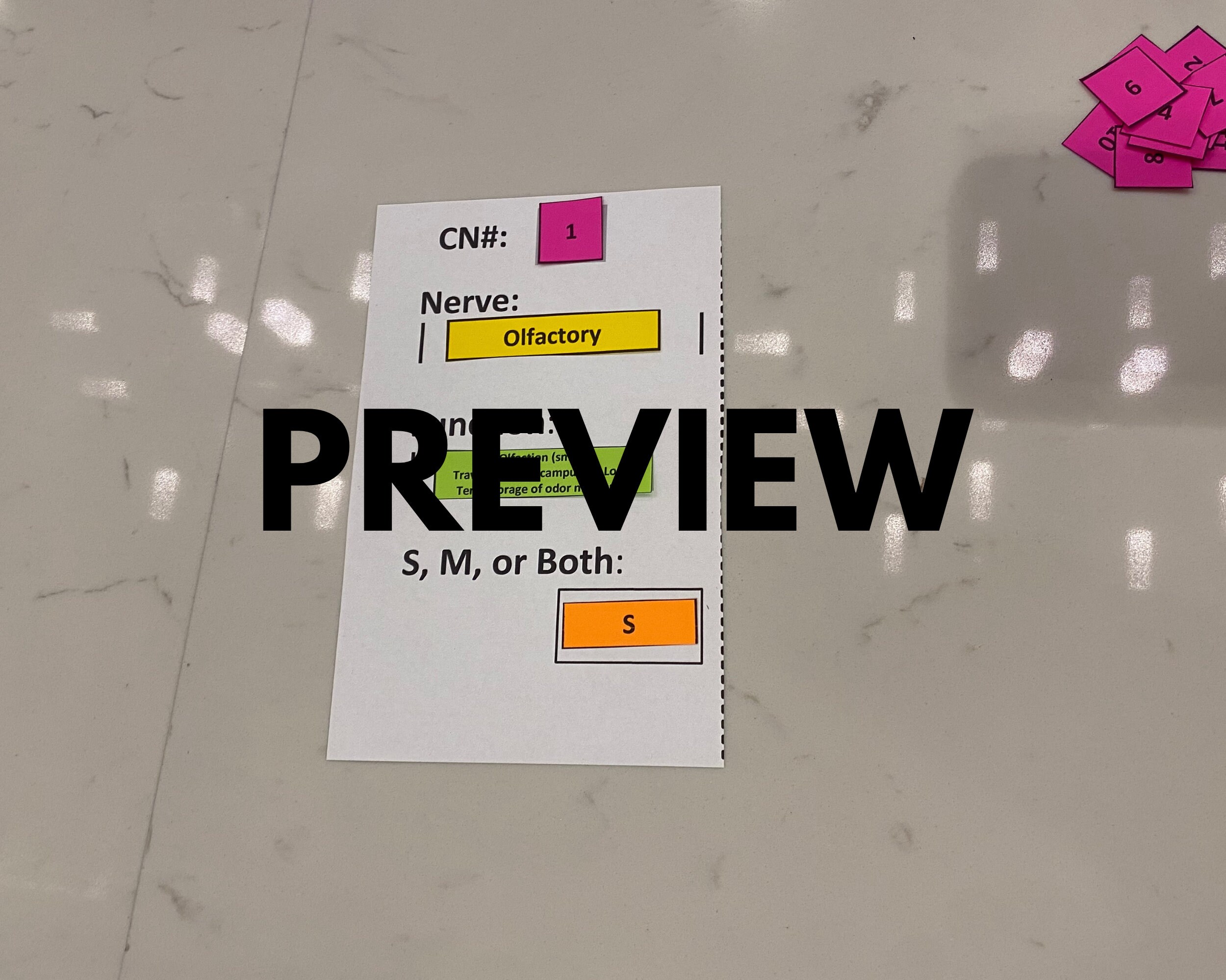 Cranial Nerves Study Kit | Digital Download, Final Exam, Grad School ...