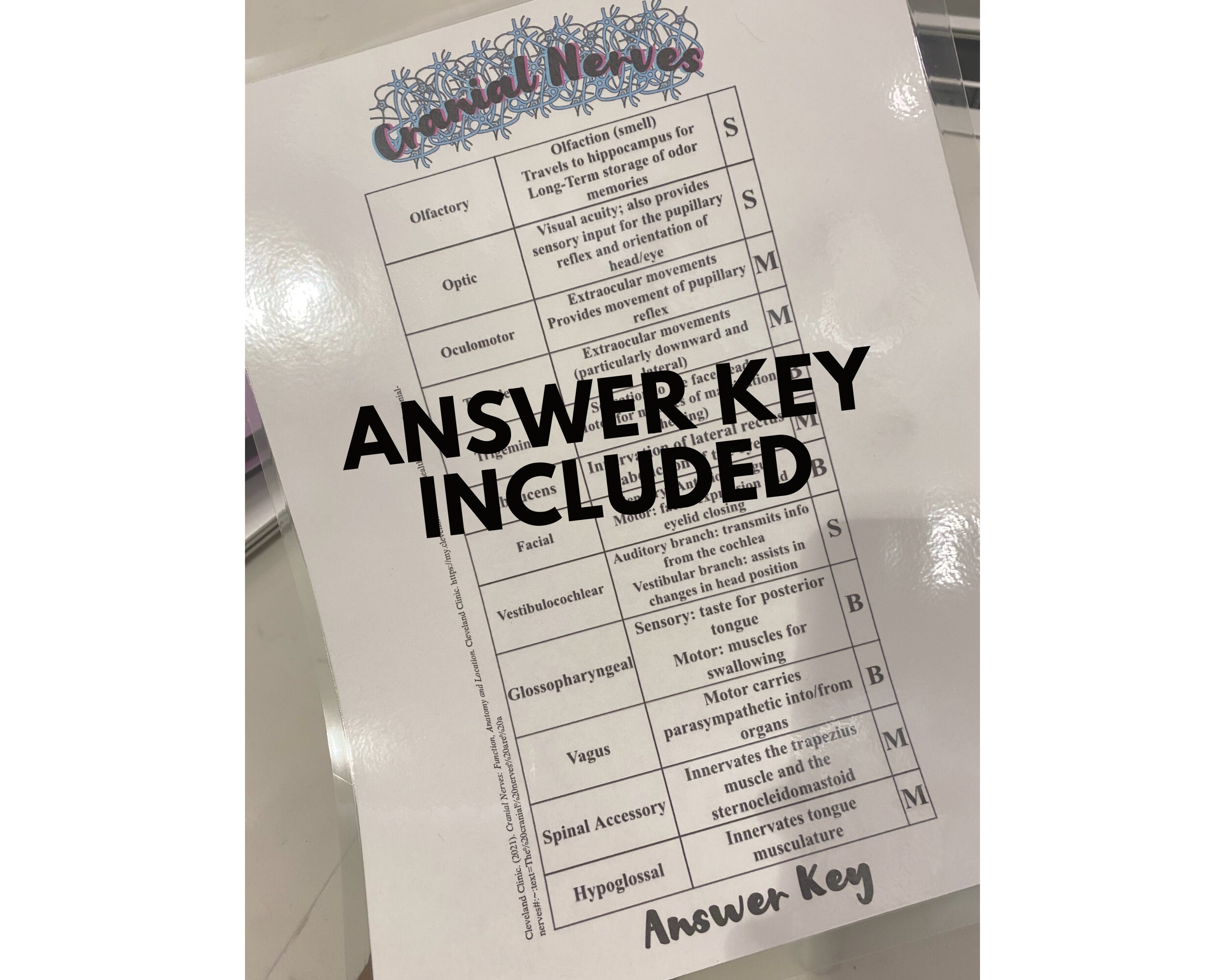 Cranial Nerves Study Kit | Digital Download, Final Exam, Grad School ...