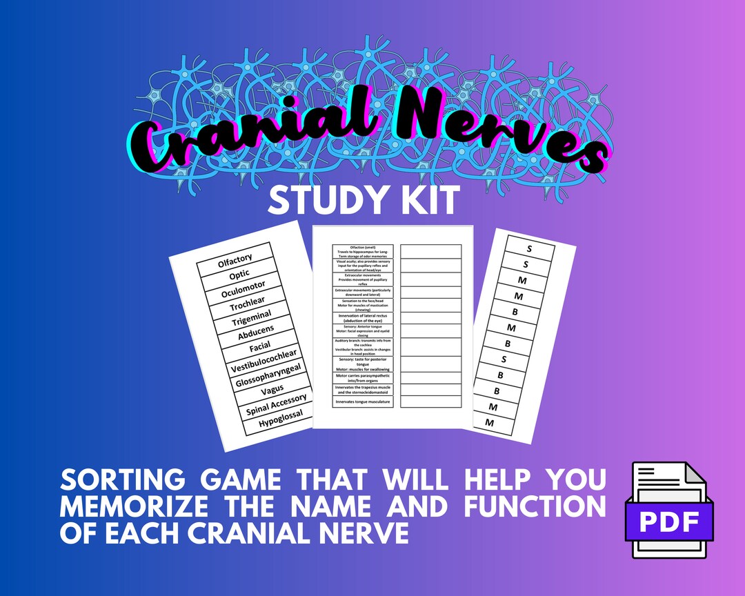 Cranial Nerves Study Kit | Digital Download, Final Exam, Grad School ...