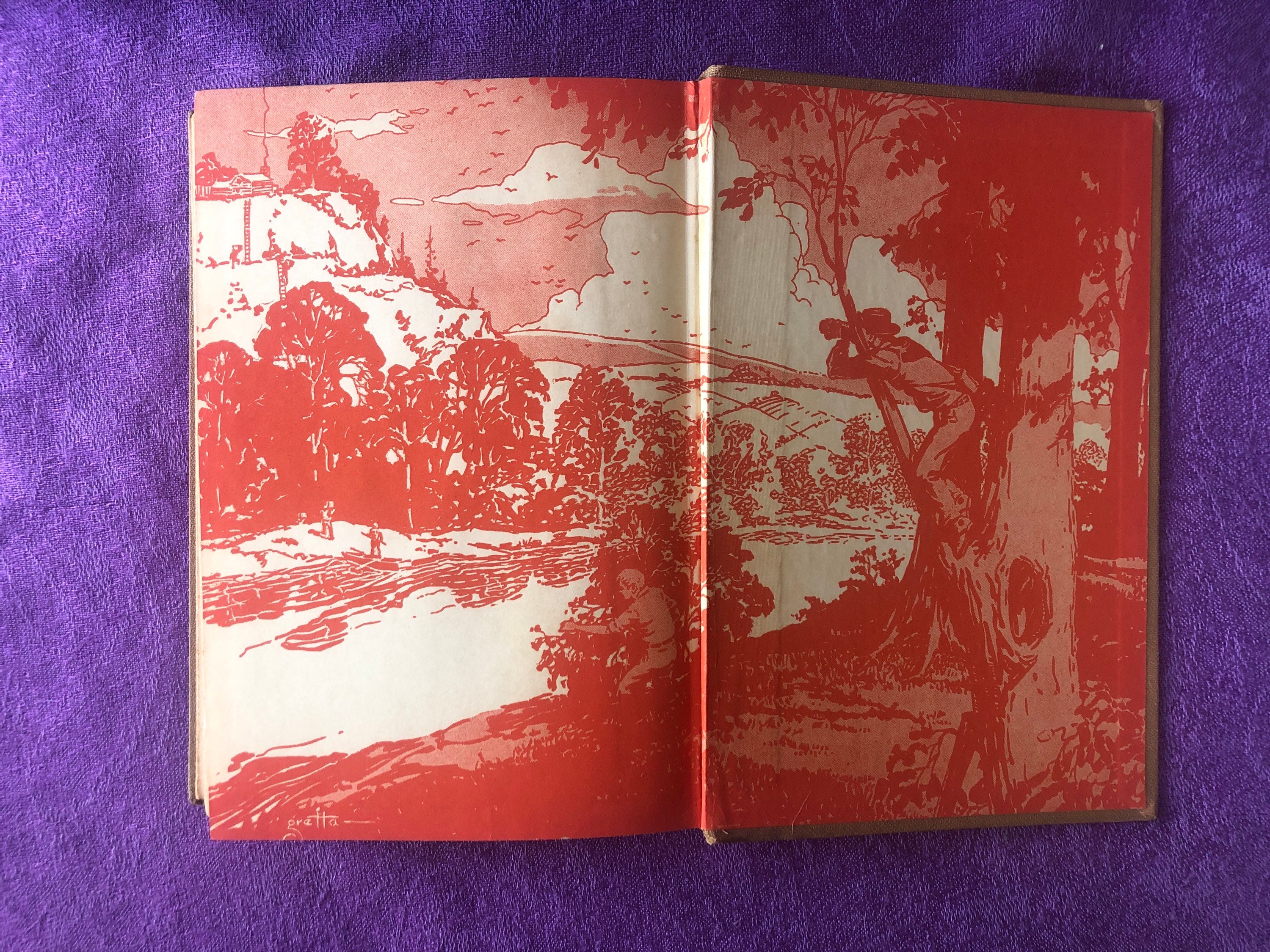 The Mystery of the Flying Express, by Franklin W Dixon, Hardcover Book ...