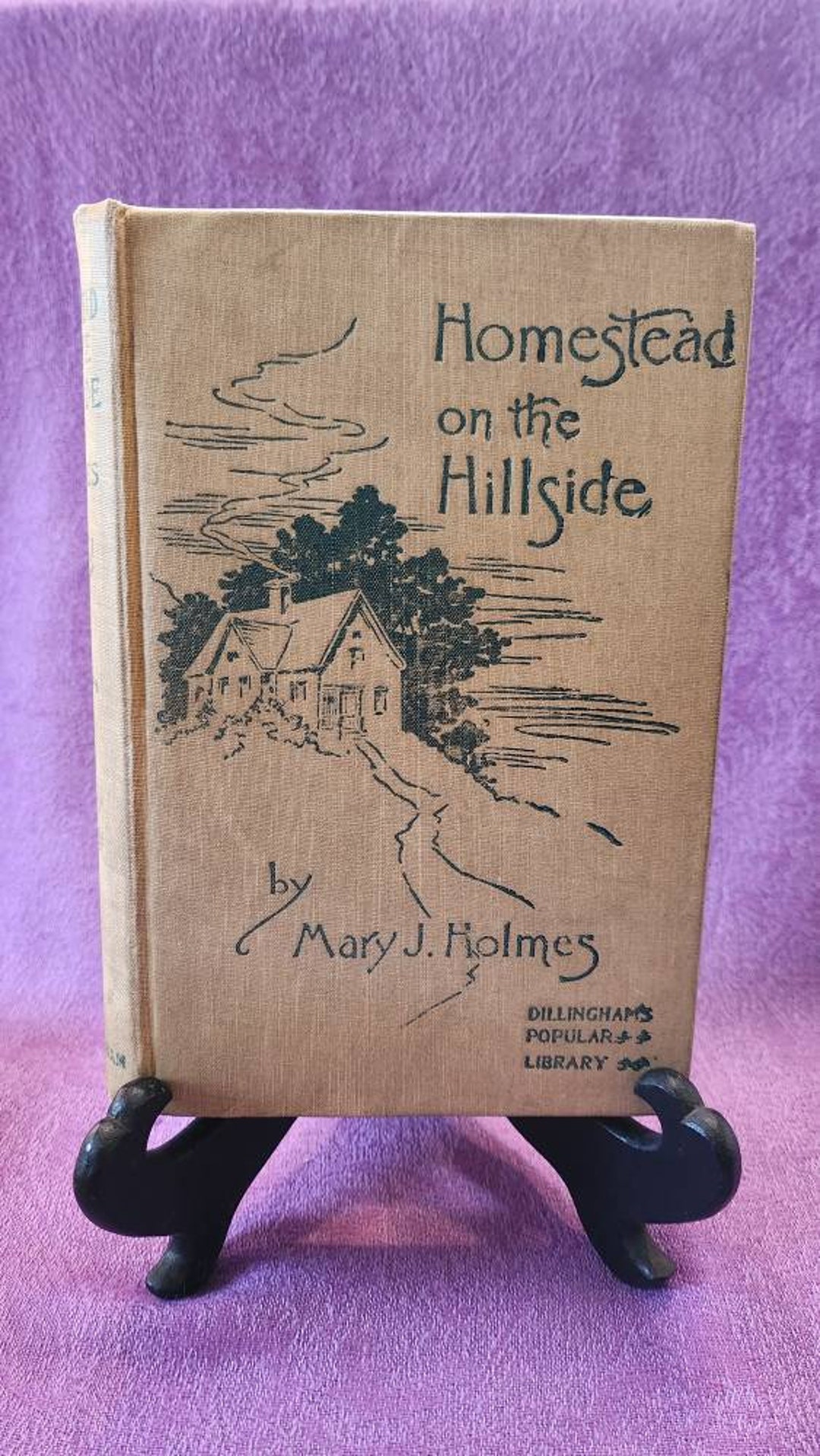 Homestead on the Hillside, by Mary J. Holmes, Hardcover Book, 1887 - Etsy