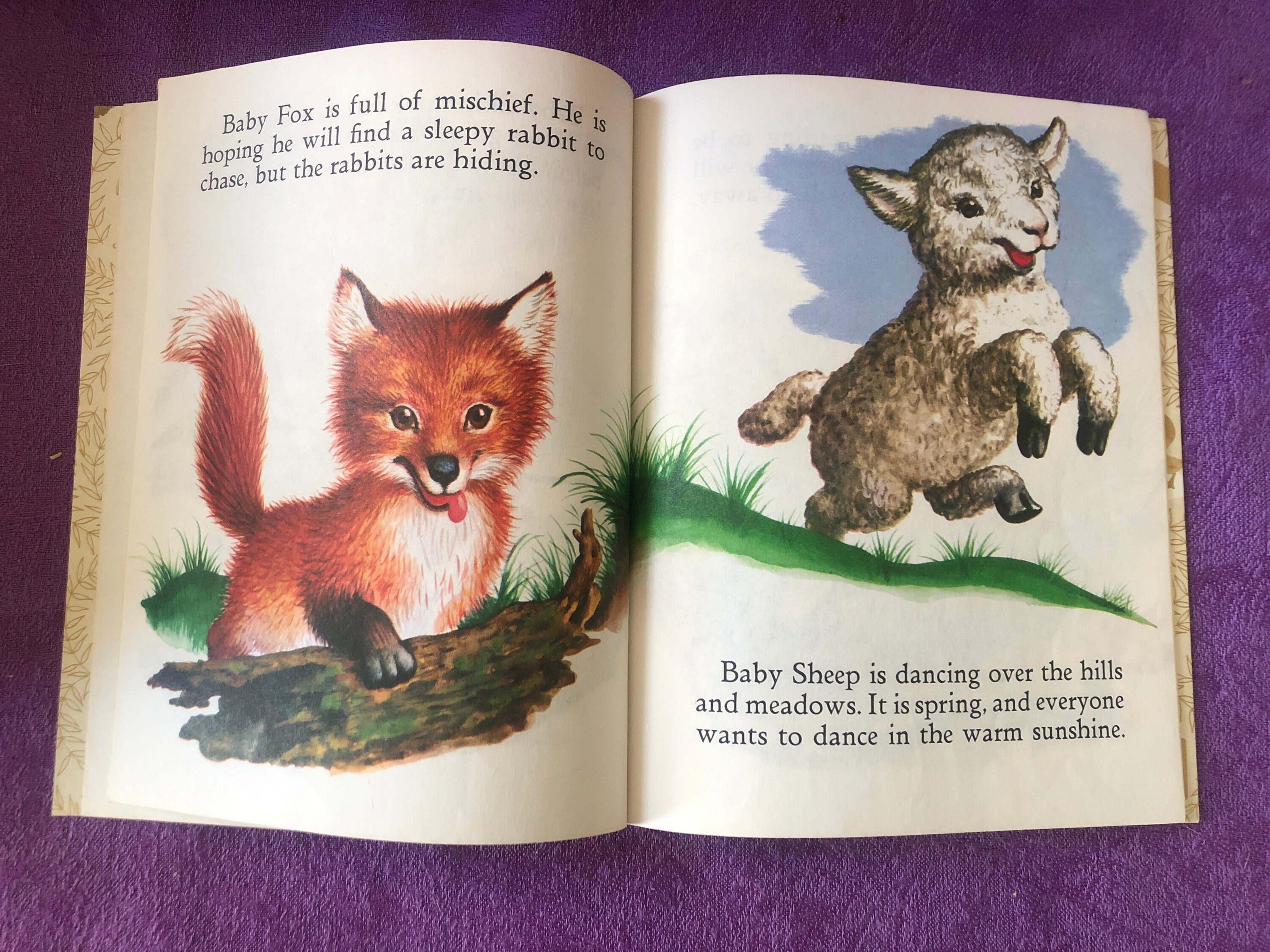 Baby Animals by Garth Williams A Little Golden Books 1956 - Etsy