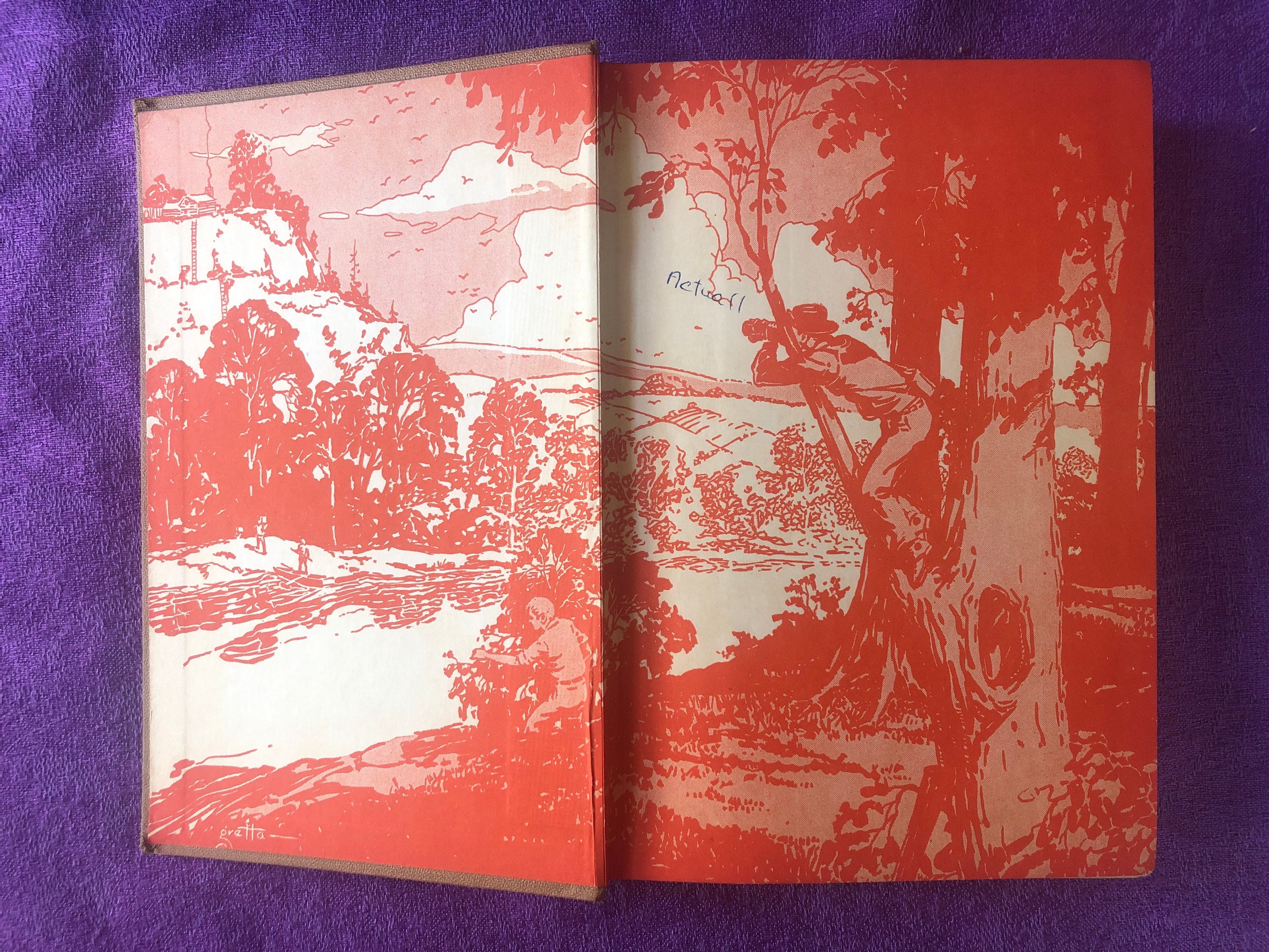 The Mystery of the Flying Express, by Franklin W Dixon, Hardcover Book ...
