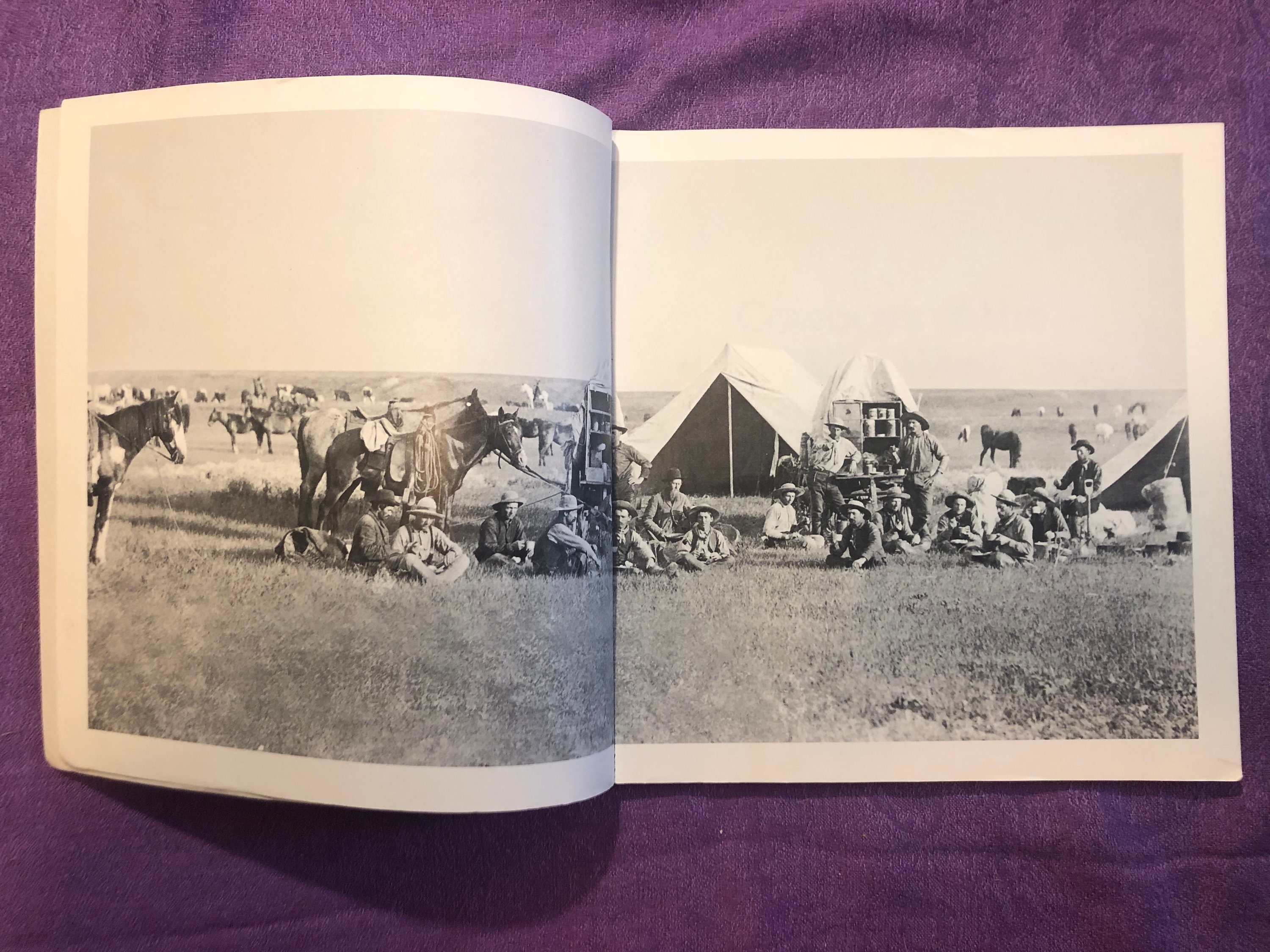 Cowboys of the Wild West, by Russell Freedman, First Scholastic ...