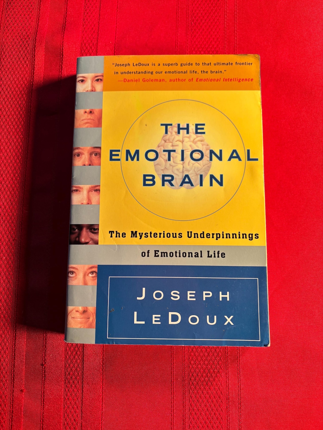 The Emotional Brain, the Mysterious Underpinnings of Emotional Life, by Joseph Ledoux, Paperback ...
