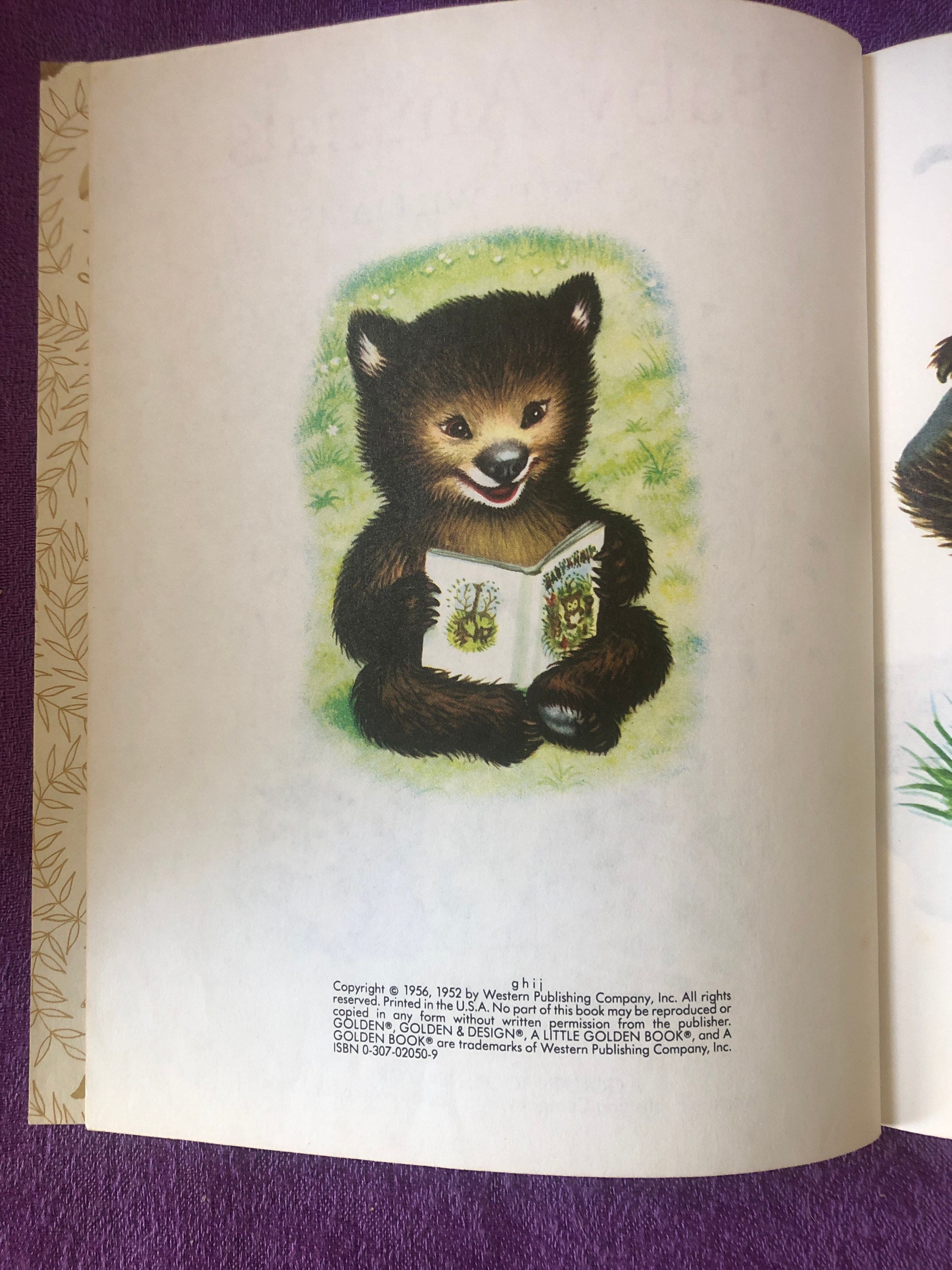 Baby Animals by Garth Williams A Little Golden Books 1956 - Etsy