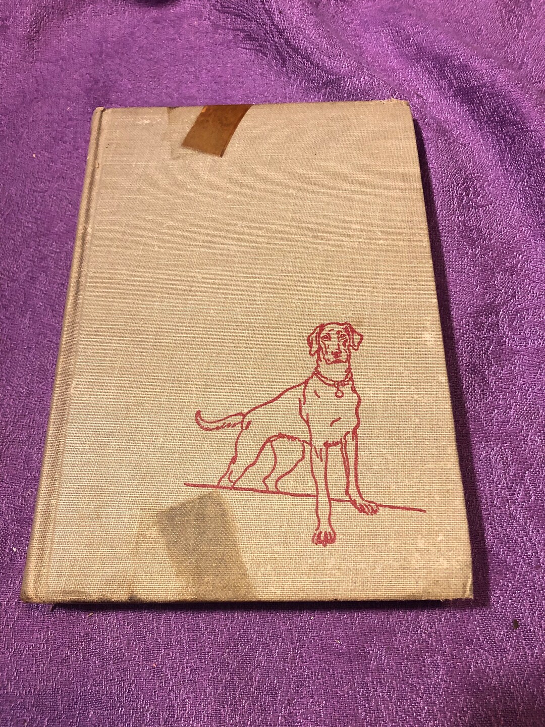 Ranger, A Dog of the Forest Service, by Colonel S.P. Meek, First ...