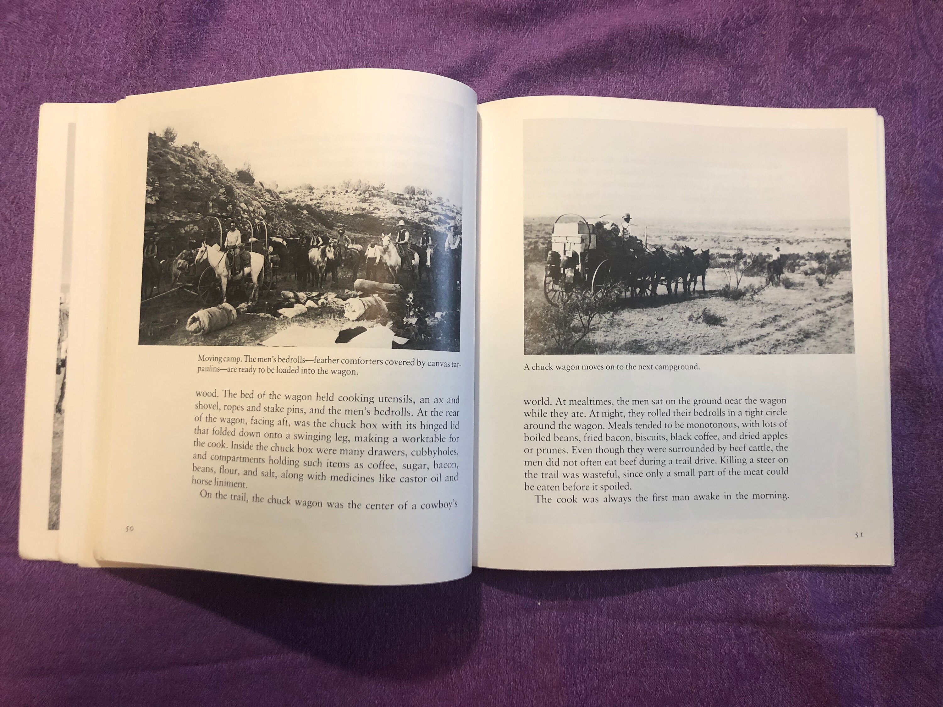 Cowboys of the Wild West, by Russell Freedman, First Scholastic ...