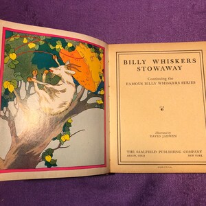 Billy Whiskers Stowaway, by F.G. Wheeler, First Edition, Hardcover Book ...