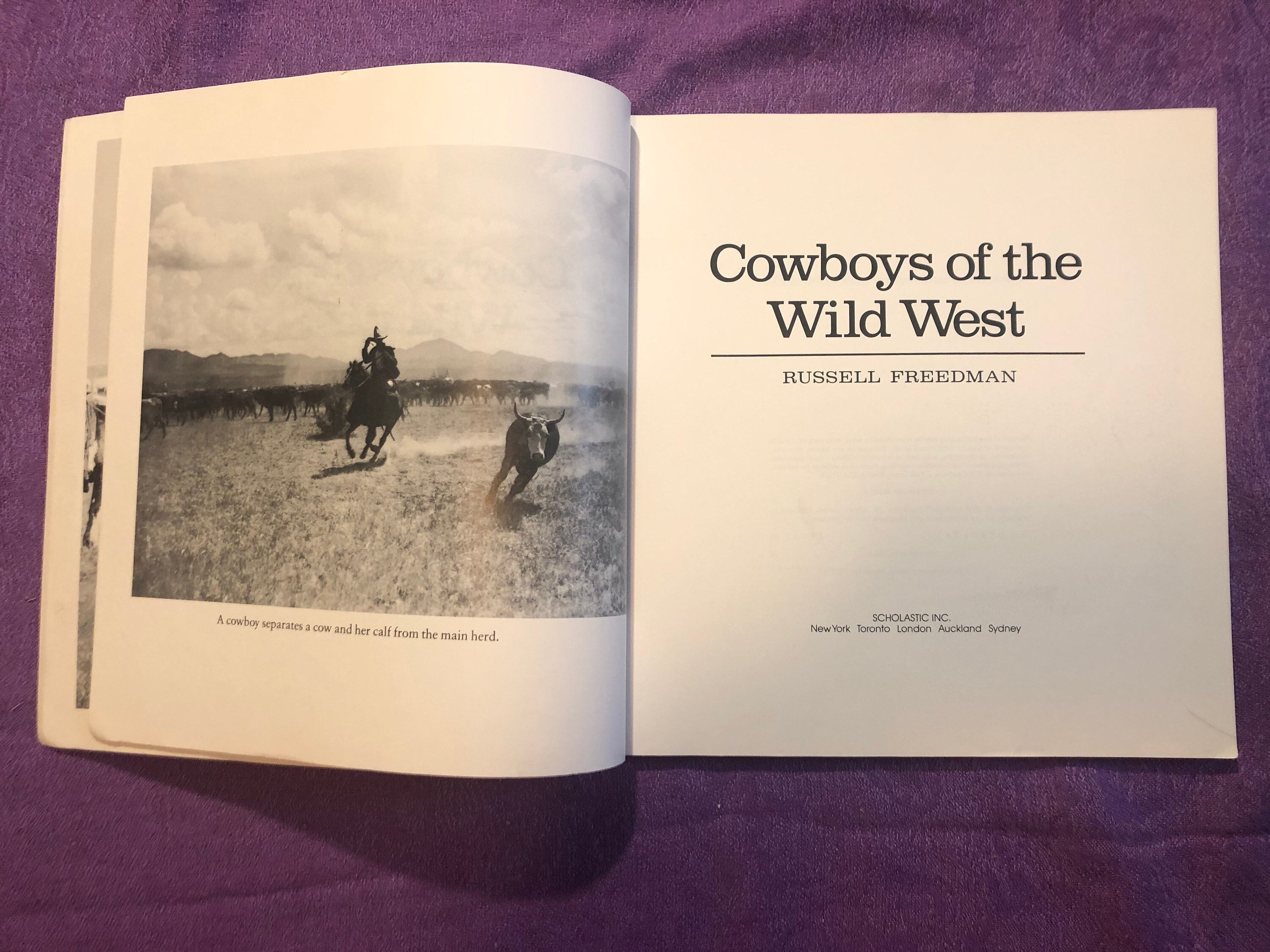 Cowboys of the Wild West, by Russell Freedman, First Scholastic ...