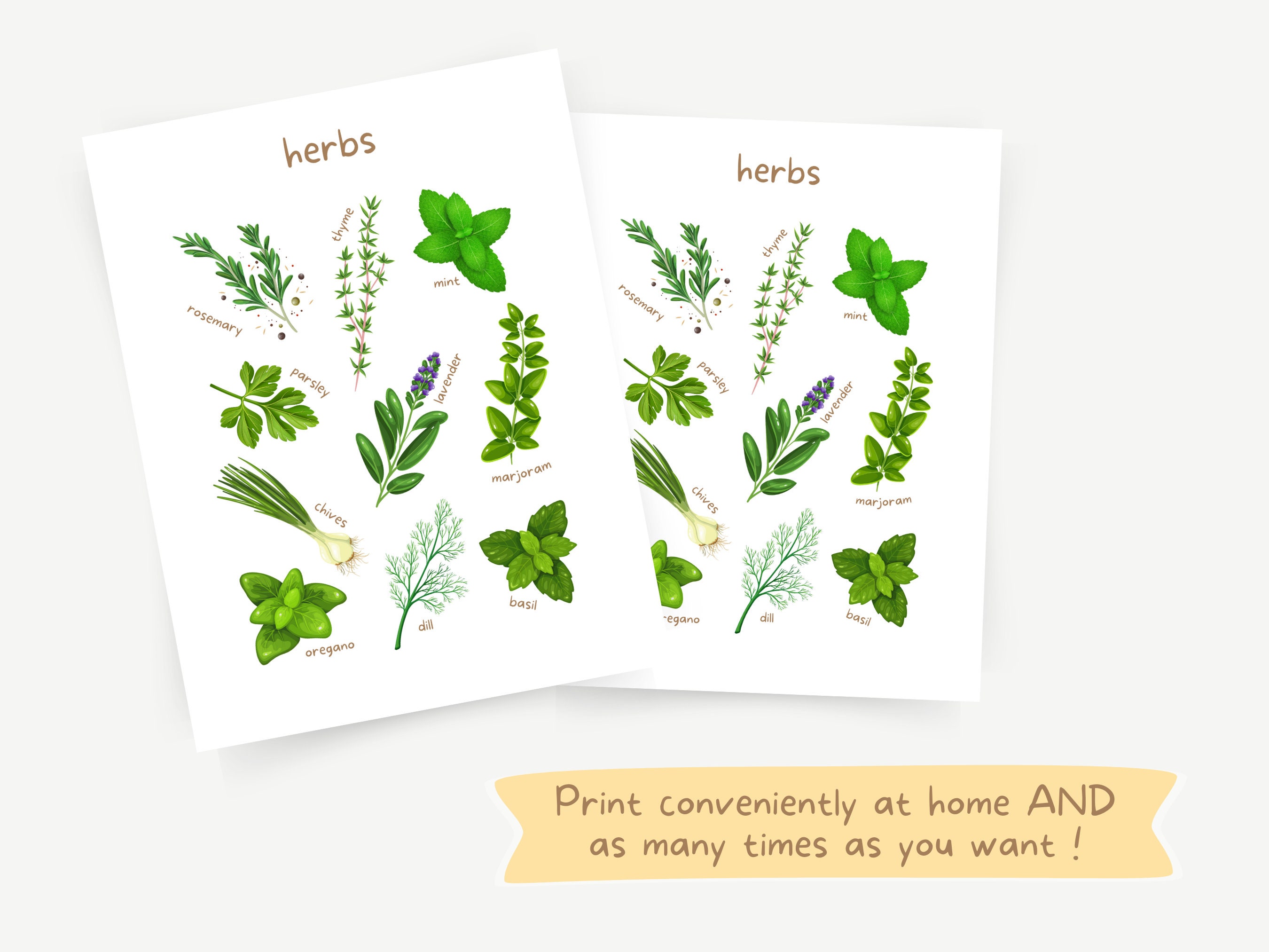 Herbs Educational Prints, Food Poster, Playroom Classroom Homeschool ...