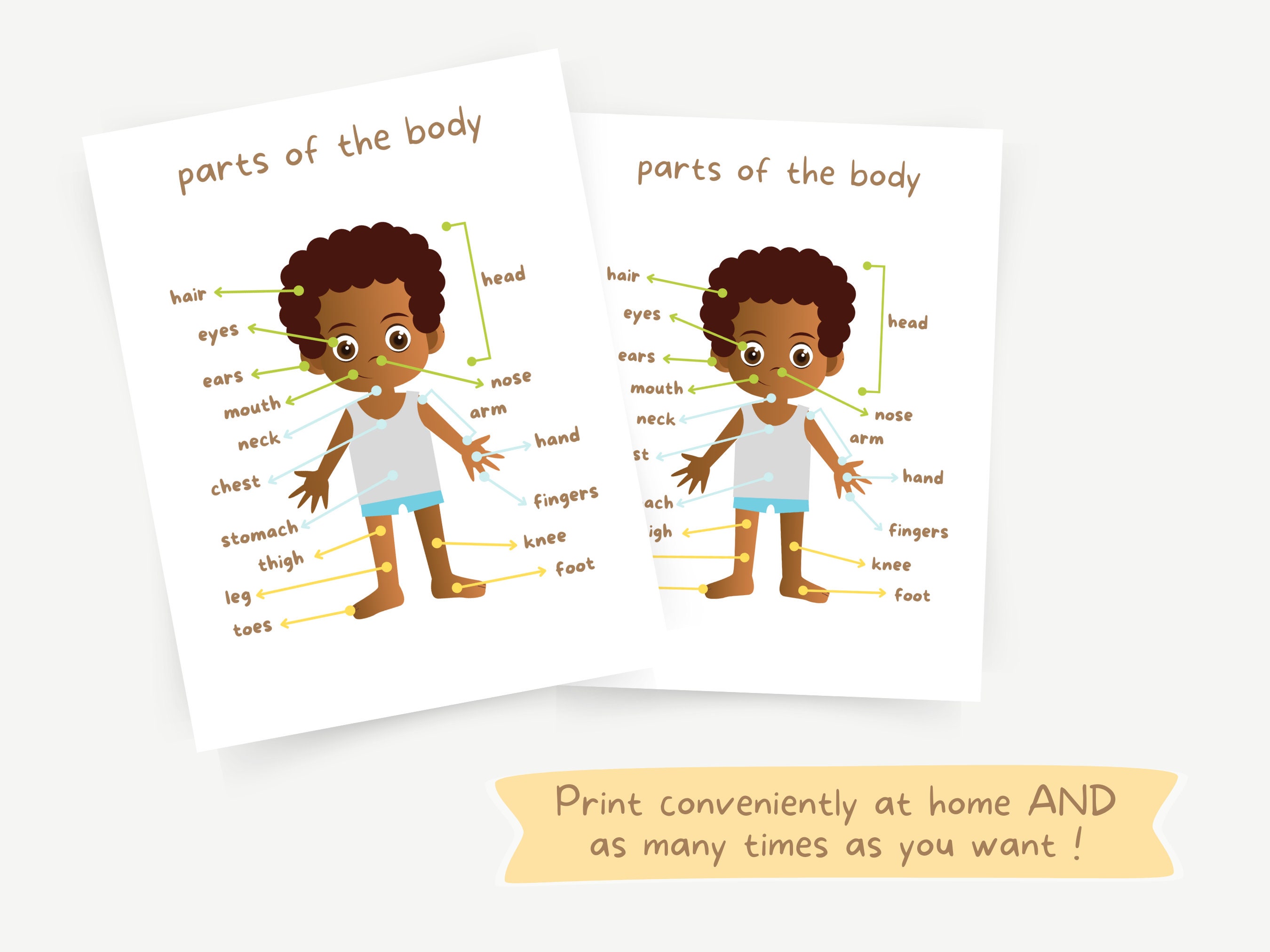 Parts of the Body Educational Print, Body Learning, Playroom Classroom ...