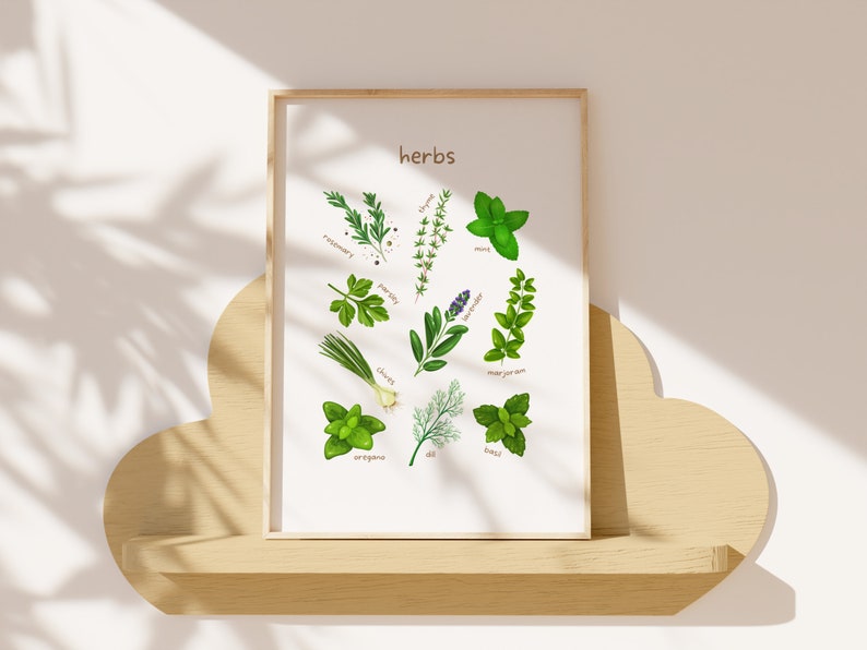 Herbs Educational Prints, Food Poster, Playroom Classroom Homeschool ...