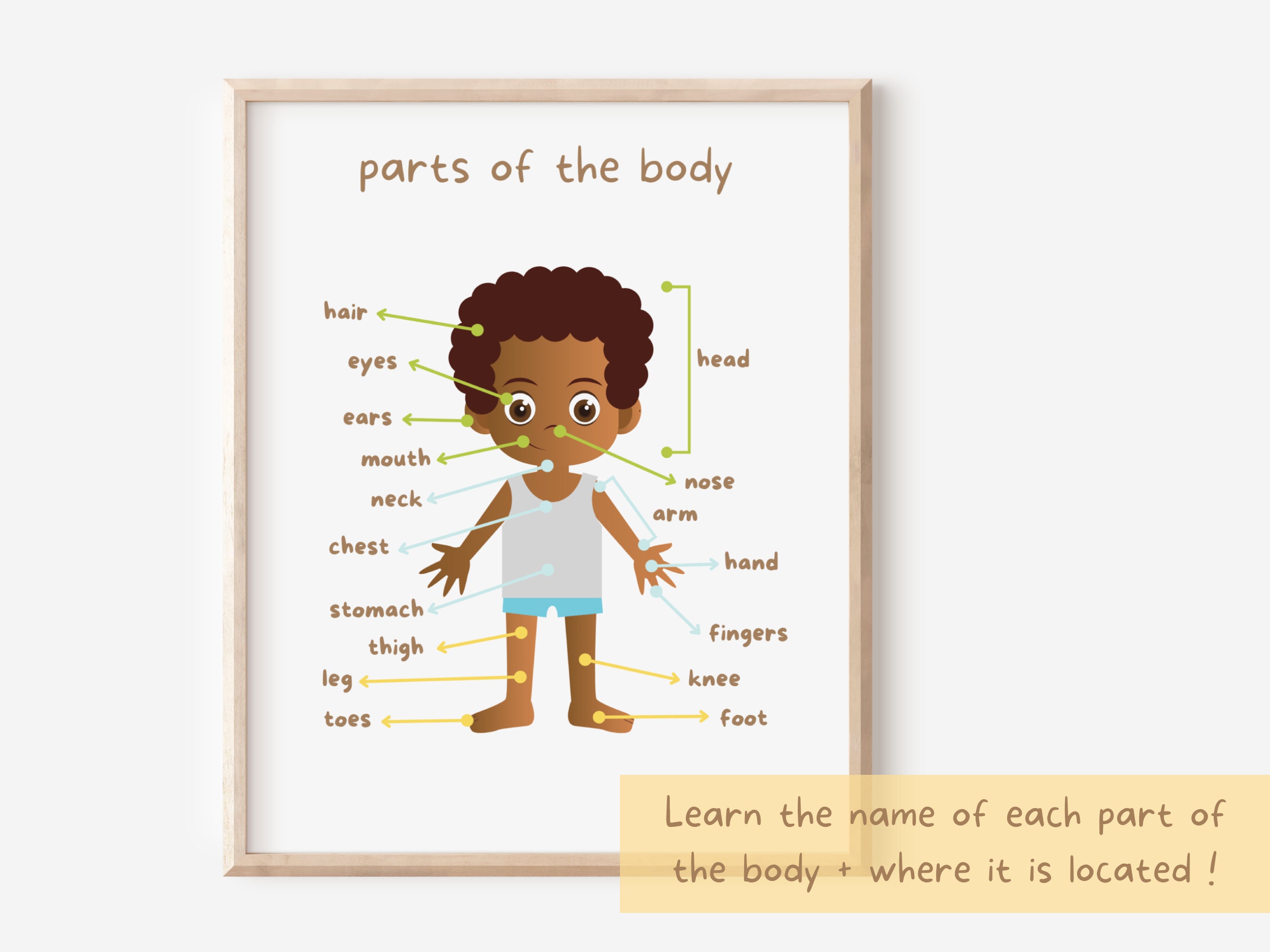 Parts of the Body Educational Print, Body Learning, Playroom Classroom ...