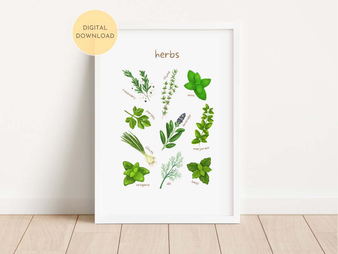 Herbs Educational Prints, Food Poster, Playroom Classroom Homeschool ...