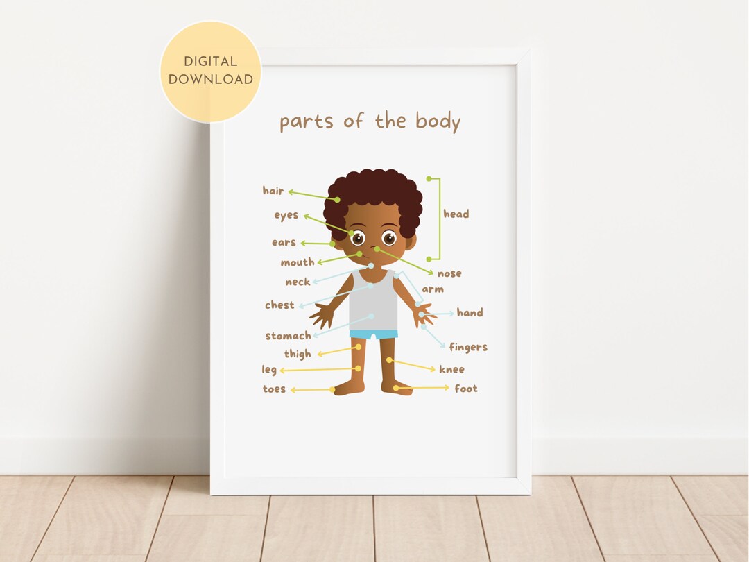Parts of the Body Educational Print, Body Learning, Playroom Classroom ...