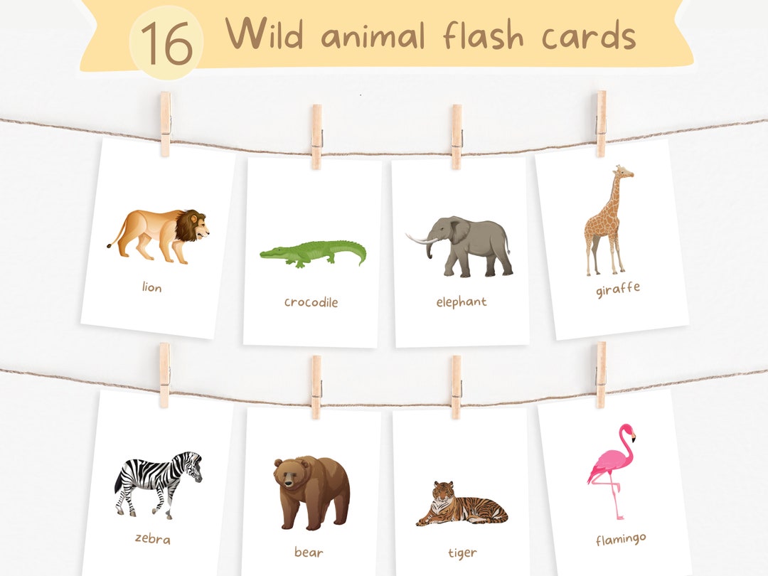 16 Wild Animal Flash Cards, Toddler Kids Learning Tools Prints ...