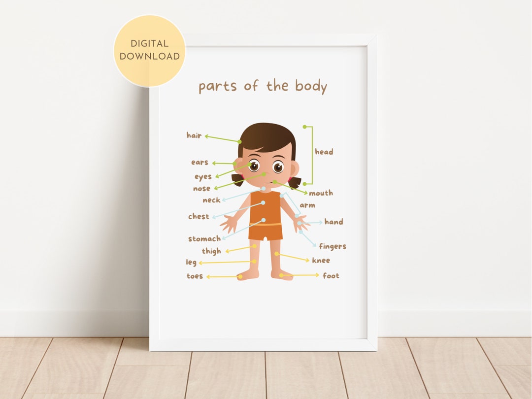 Parts of the Body Educational Print, Body Learning, Playroom Classroom ...