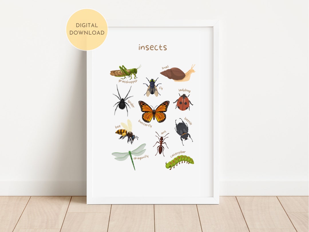 Insects Educational Print, Toddler Learning Poster, Nursery Playroom ...