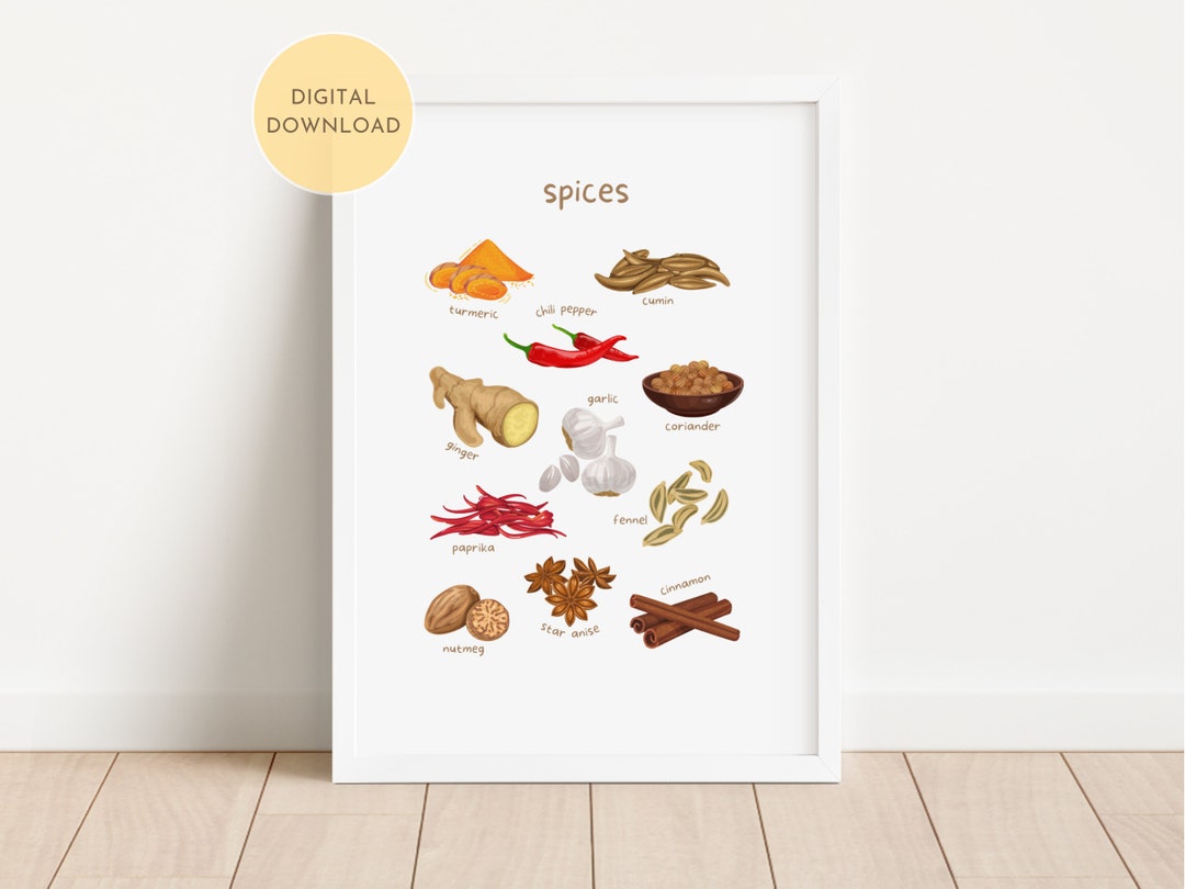 Spices Educational Prints, Food Poster, Playroom Classroom Homeschool ...