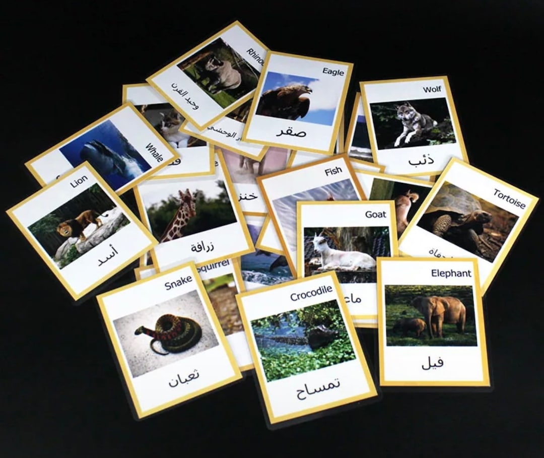 Arabic Vocabulary Cards - Etsy