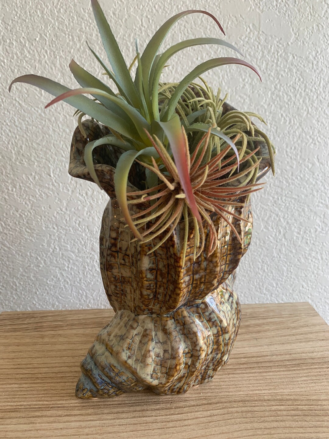 Large & Tall Vintage Ceramic Conch Shell Planter - Etsy