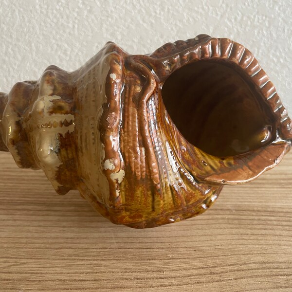 Ceramic Conch Shell Planter - Etsy