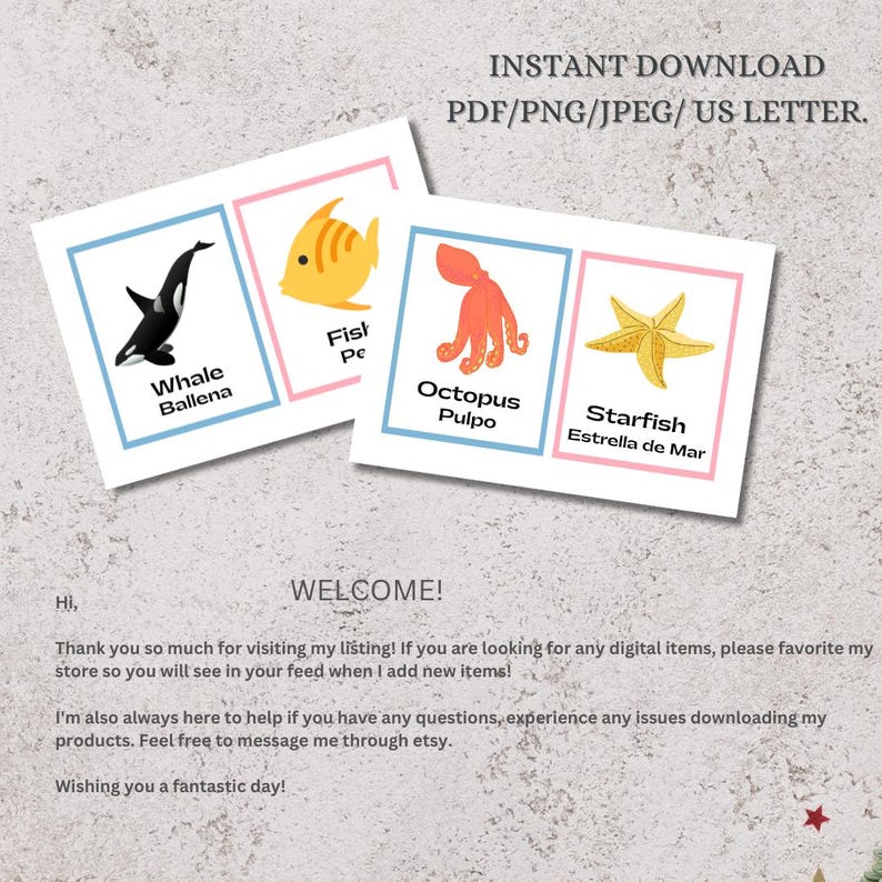 Sea Animals Flashcards English Spanish, Bilingual Learning Cards ...