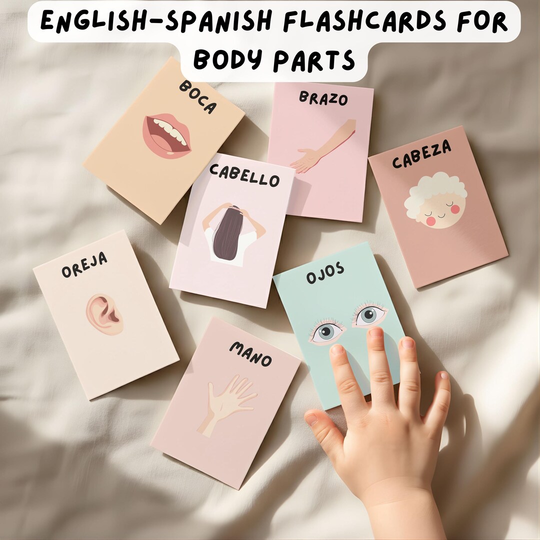 Back to School, Body Parts Flash Cards, Language Learning, Spanish ...