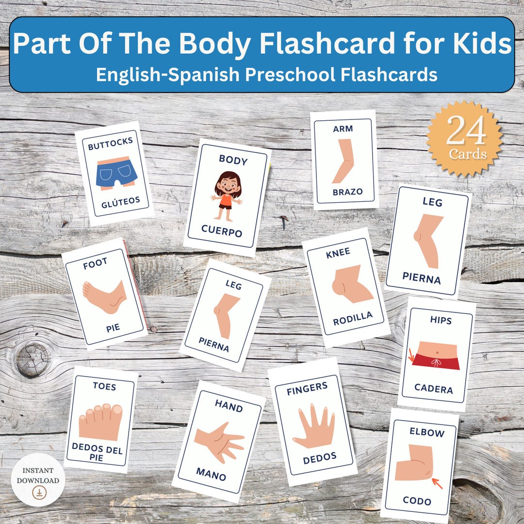 White Neutral Body Flashcards English-spanish Learning Set, Bilingual ...